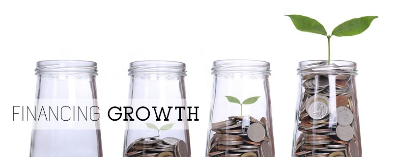 How to Grow Your Business the Right Way | Rikvin