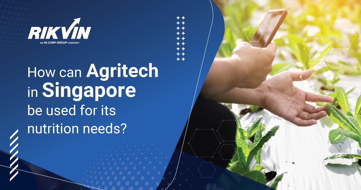Meeting A Nation’s Needs: How Agritech in Singapore Can Help