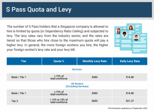 Singapore S Pass Application Service | Rikvin
